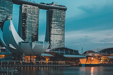 LSBF - Contact London School of Business and Finance